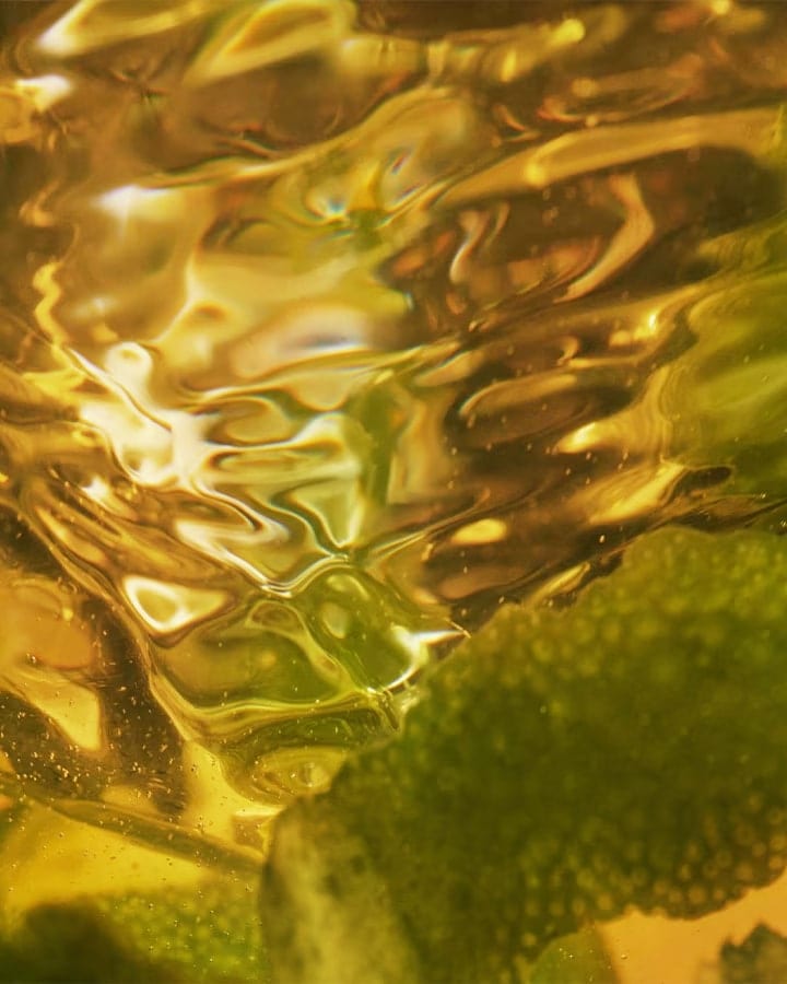 Our Ingredients | Ingredient Glossary | La Mer